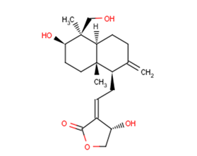 Andrographolide | Autophagy | Influenza Virus | NF-κB | SARS-CoV ...