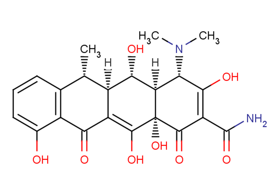 Doxycycline | Antibacterial | Antibiotic | MMP | Parasite | ribosome ...