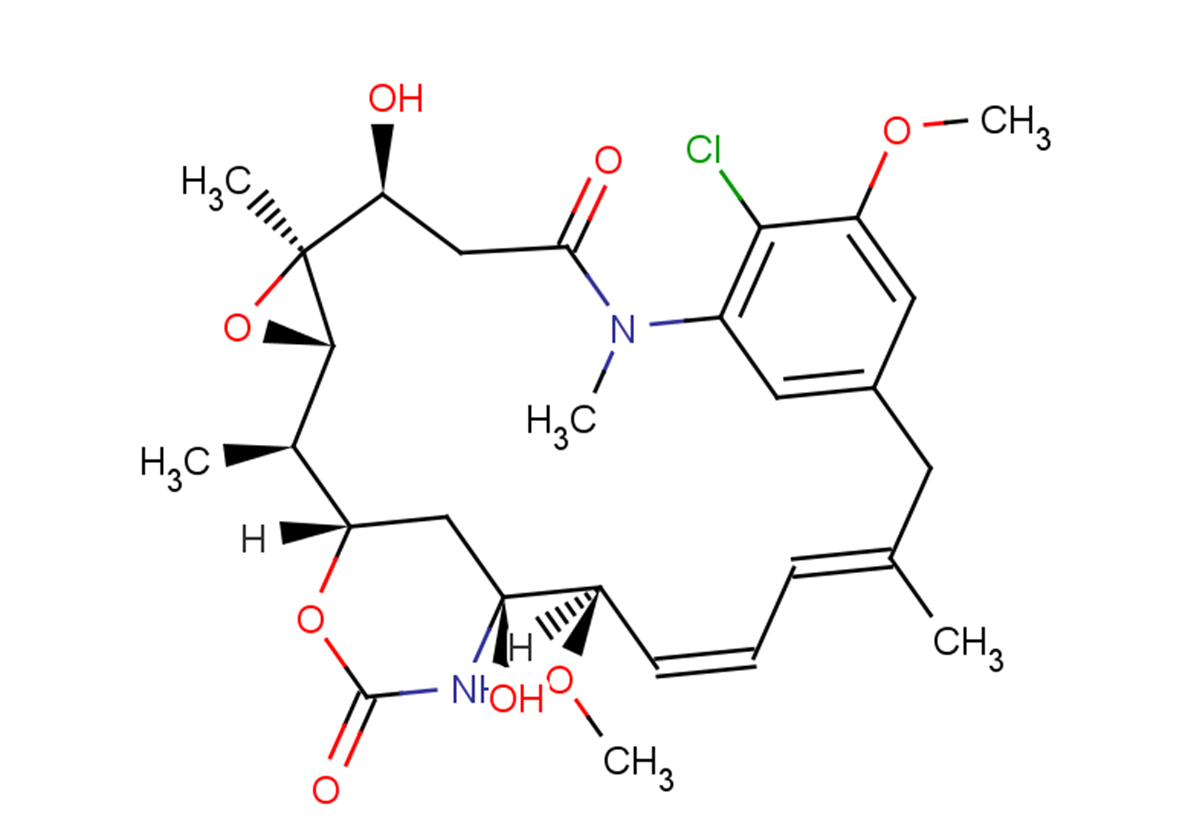 Maytansinol | ADC Cytotoxin | Apoptosis | Microtubule Associated ...