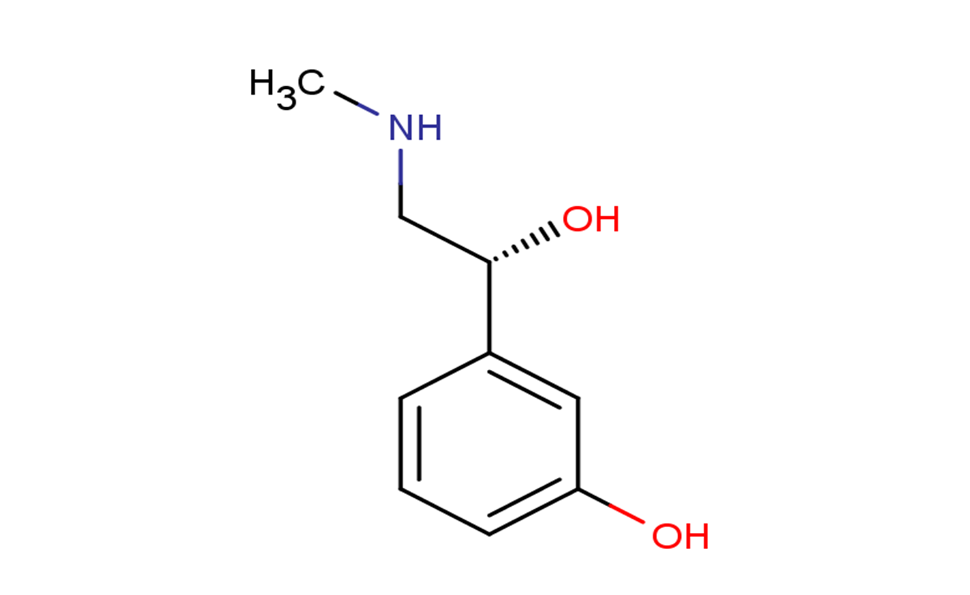 Phenylephrine - Adrenergic Receptor