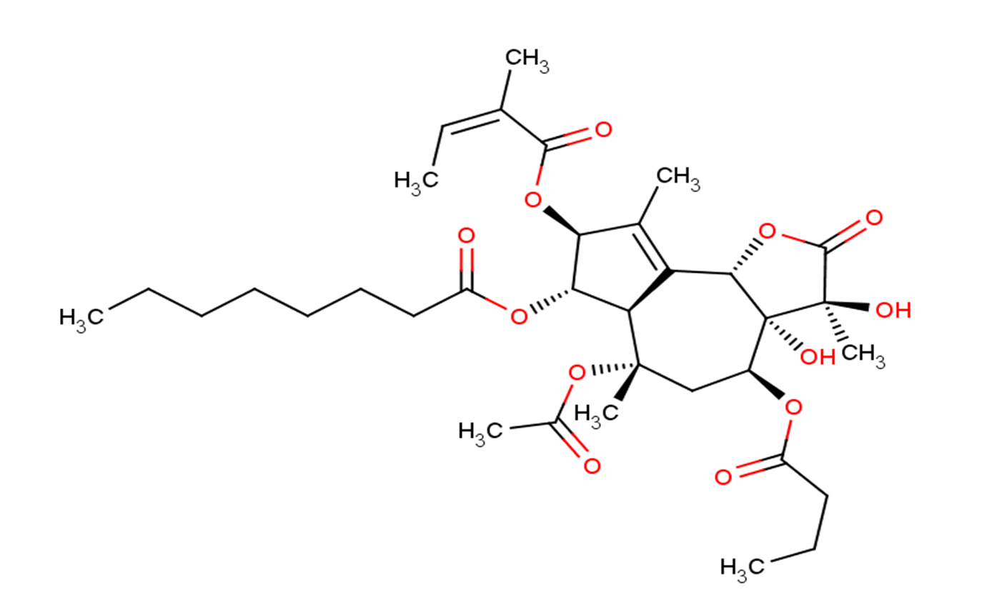 Thapsigargin - Apoptosis | Calcium Channel | SARS-CoV