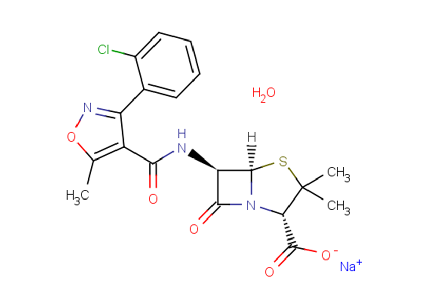 Cloxacillin sodium monohydrate - Antibacterial | Antibiotic