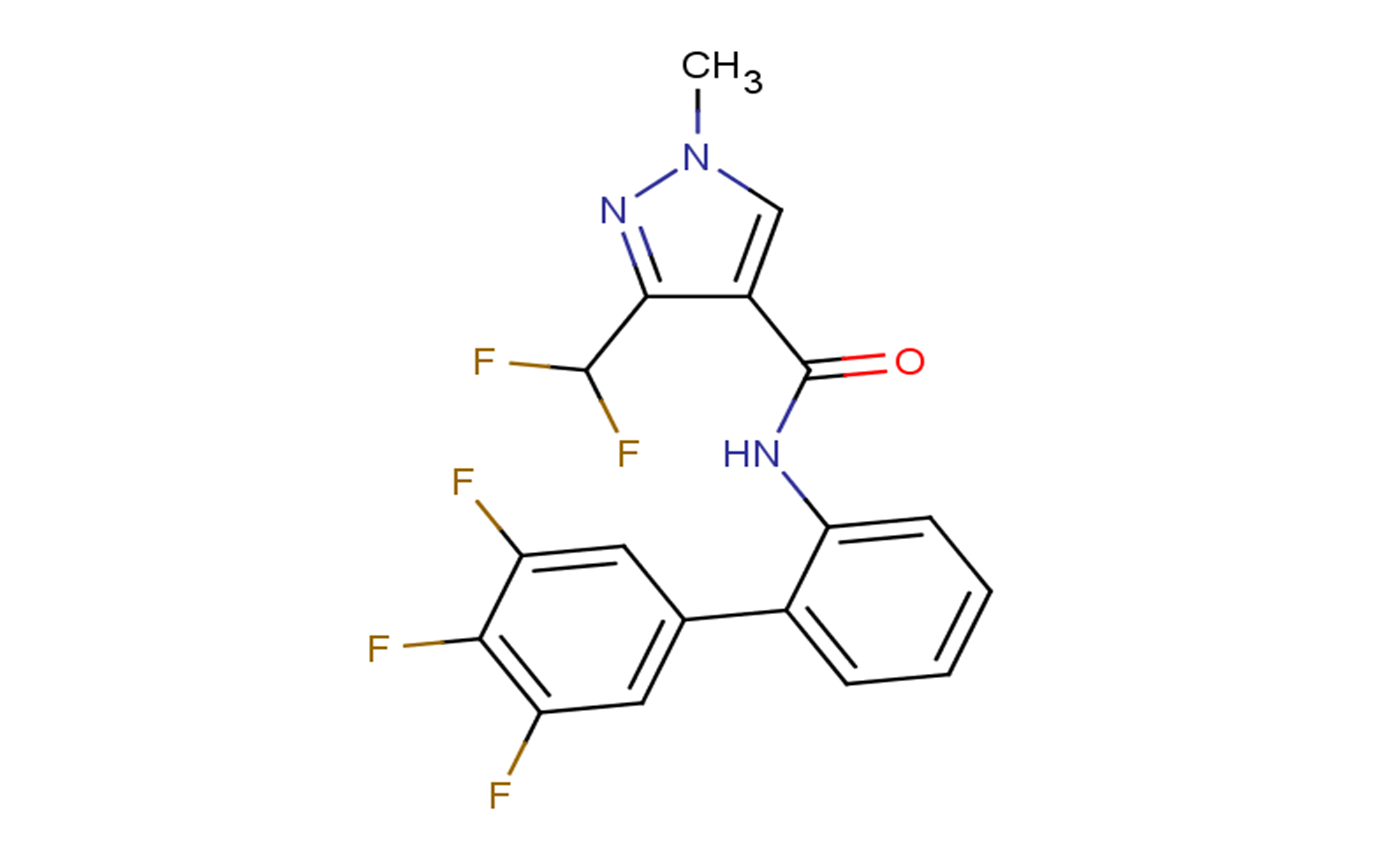 Fluxapyroxad - Antifungal