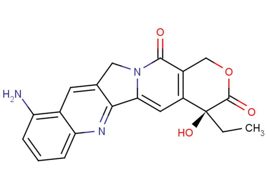 9-amino-CPT | Topoisomerase | TargetMol