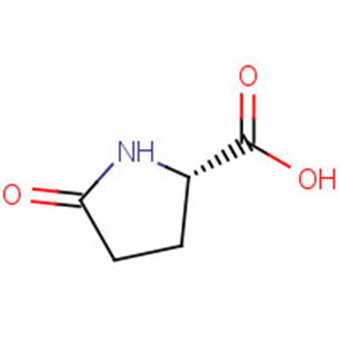 L-Pyroglutamic acid | Endogenous Metabolite | Inhibitor | TargetMol