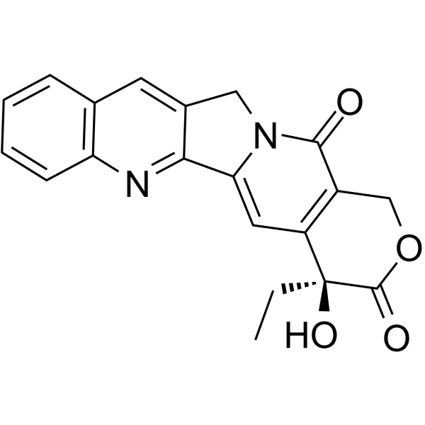 Camptothecin - ADC Cytotoxin | Antibiotic | Antifungal | Apoptosis ...