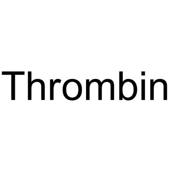 Thrombin (MW 37kDa) | Thrombin | TargetMol