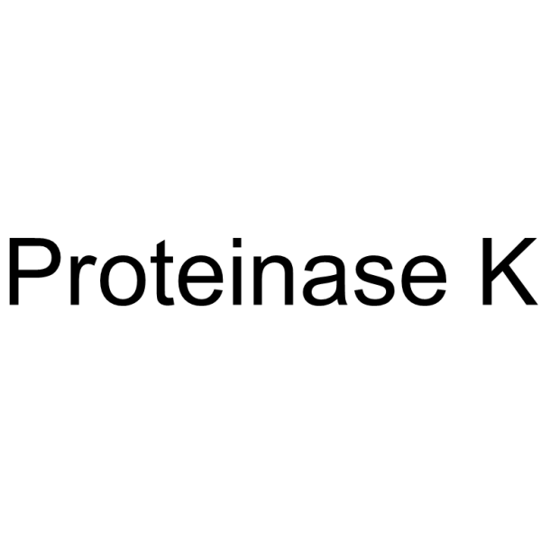 Proteinase K - Inhibitor