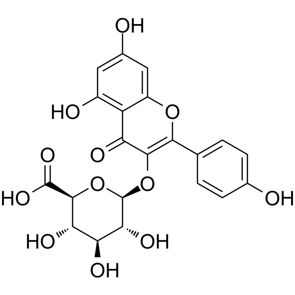 Kaempferol 3-O-β-D-glucuronide | Inhibitor | TargetMol