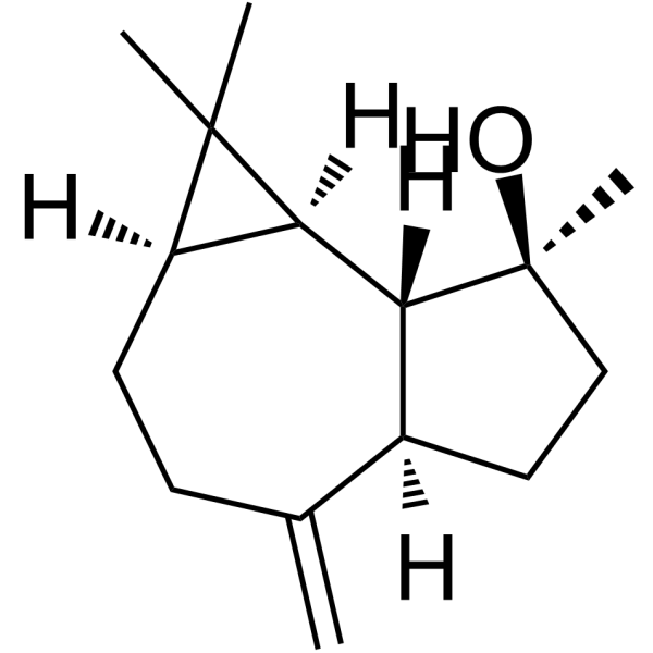 Spathulenol - P-gp | Caspase