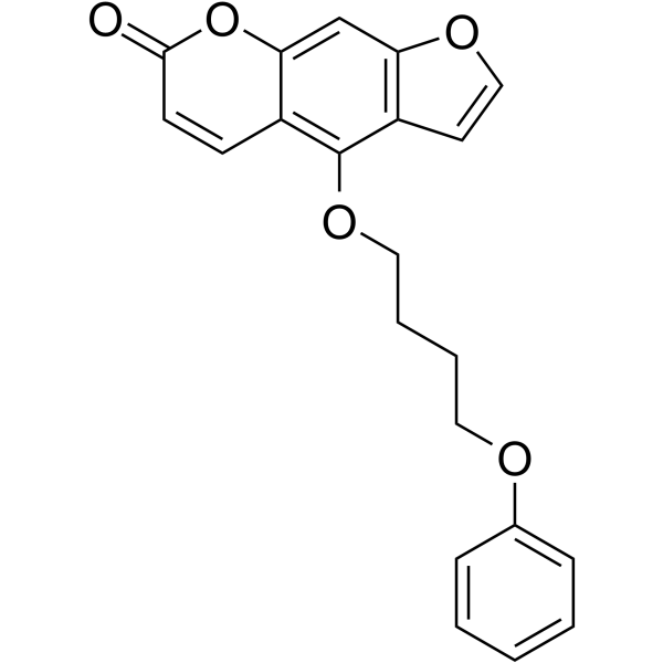 PAP-1 | Potassium Channel | TargetMol
