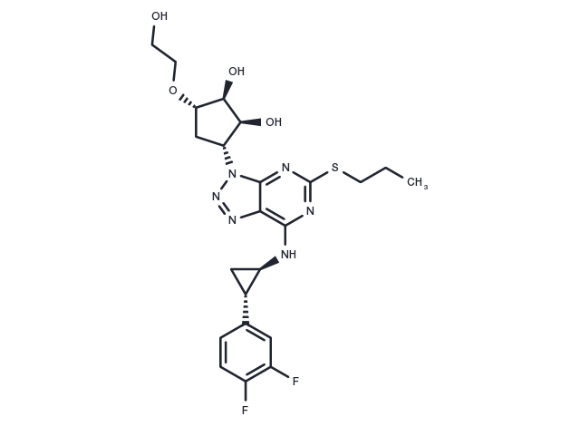 Ticagrelor | P450 | P2Y Receptor | TargetMol