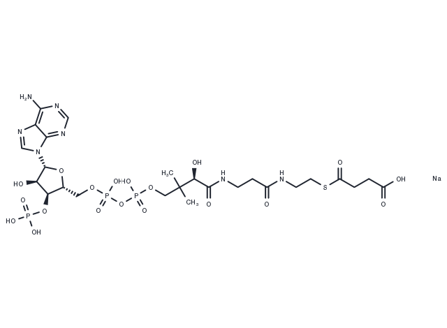 Succinyl-Coenzyme A sodium salt | 琥珀酰辅酶A钠盐 | TargetMol