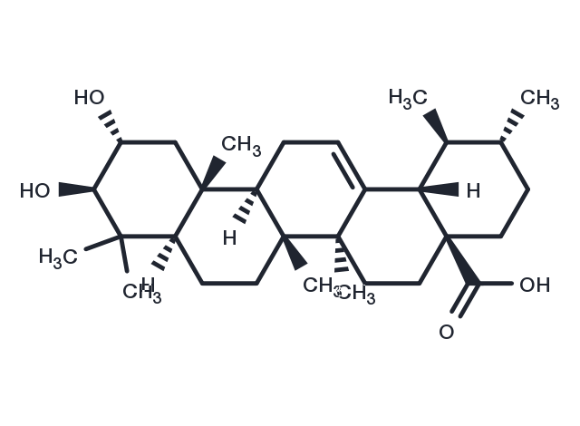 Corosolic acid | FAK | Autophagy | TargetMol