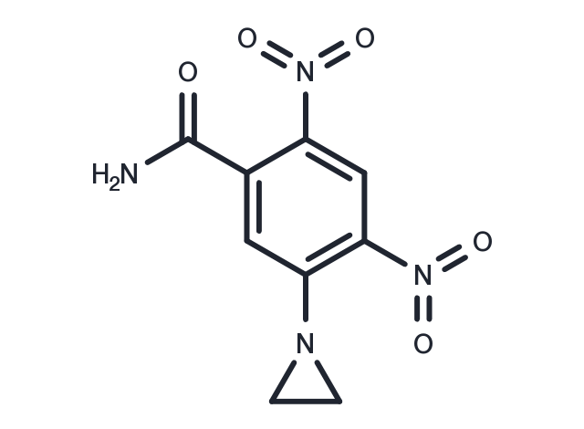 DNA Alkylation | DNA损伤和修复 | TargetMol