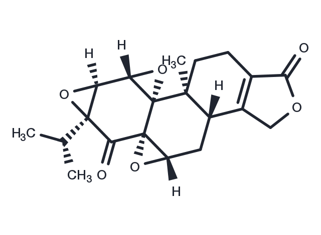 Triptonide | Apoptosis | Wnt/beta-catenin | Autophagy | TargetMol