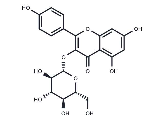 Astragalin | NF-κB | Apoptosis | TargetMol