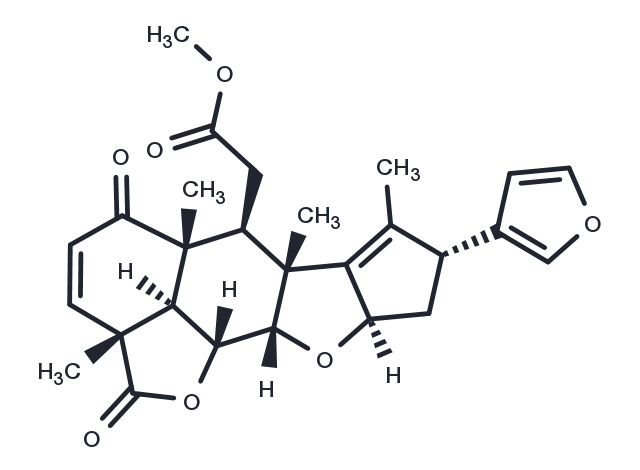 Nimbolide | Apoptosis | NF-κB | CDK | TargetMol