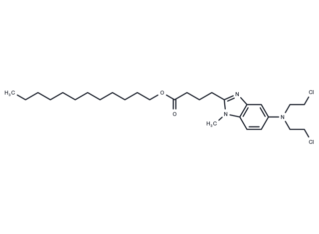 DNA Alkylation | DNA损伤和修复 | TargetMol