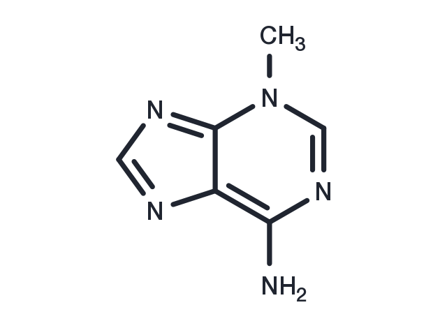 3-Methyladenine | 3-甲基腺嘌呤 | TargetMol
