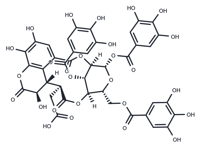 Chebulinic acid | ATPase | Proton pump | DNA/RNA Synthesis ...