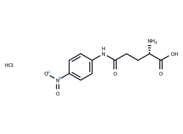GPNA hydrochloride | Γ-(P-硝基苯胺)-L-谷氨酸盐酸盐 | TargetMol