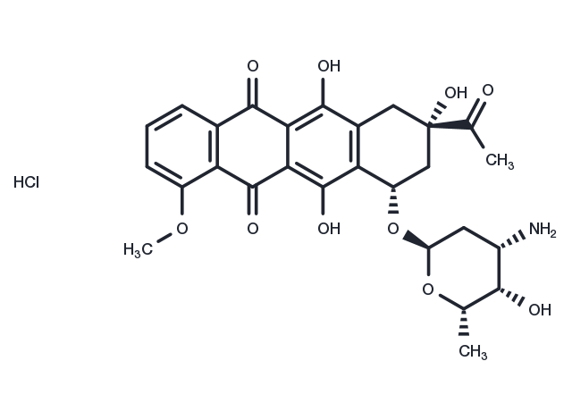 Daunorubicin hydrochloride | Apoptosis | DNA/RNA Synthesis ...