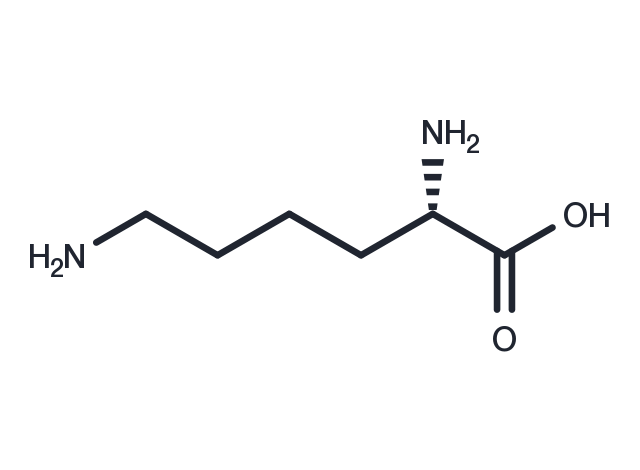 L-Lysine | L-赖氨酸 | TargetMol
