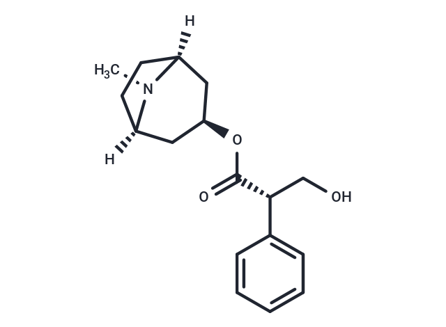 L-Hyoscyamine | AChR | TargetMol