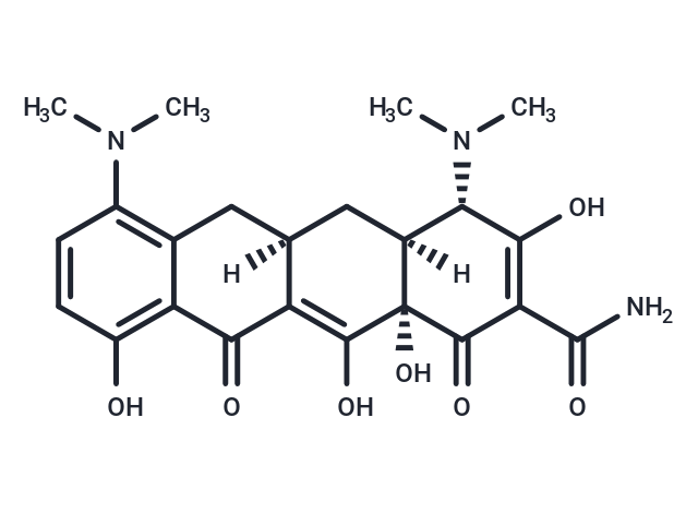 Minocycline | Inhibitor | TargetMol