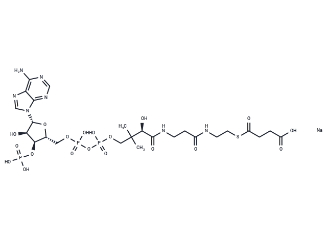 Succinyl-Coenzyme A sodium salt | Endogenous Metabolite | TargetMol