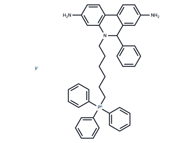 MitoSOX Red | Reactive Oxygen Species | Mitochondrial Metabolism ...