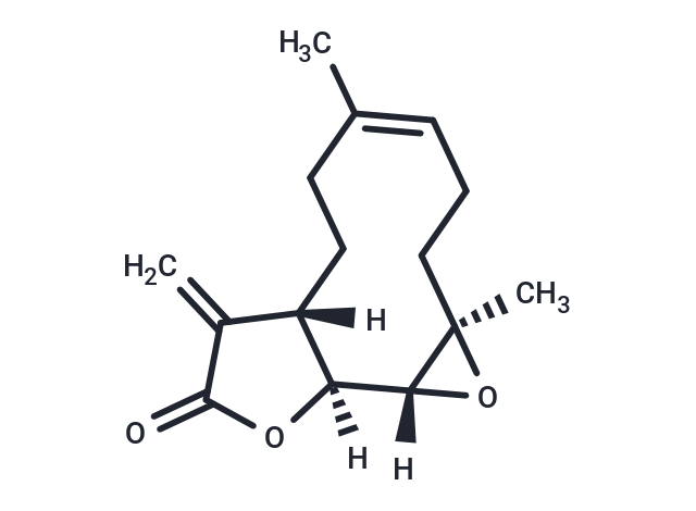 Parthenolide | HDAC | NF-κB | Mitophagy | Apoptosis | Autophagy | TargetMol