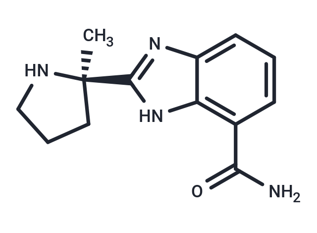 Veliparib | PARP | Autophagy | TargetMol