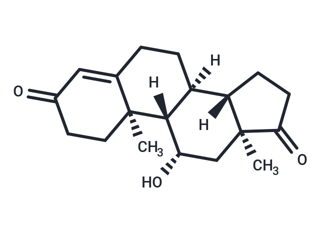 11-Beta-hydroxyandrostenedione | Endogenous Metabolite | TargetMol