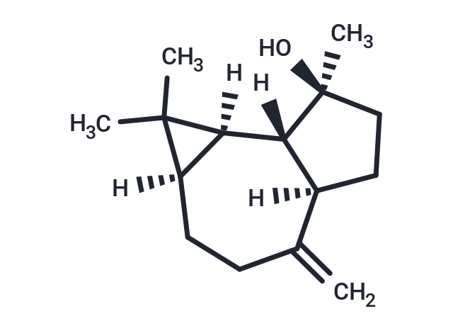 Spathulenol | Antioxidant | Antifungal | TargetMol