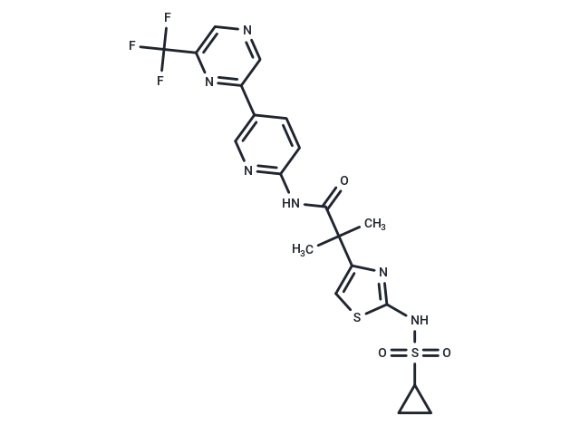 CTP Synthetase-IN-1 | Inhibitor | TargetMol