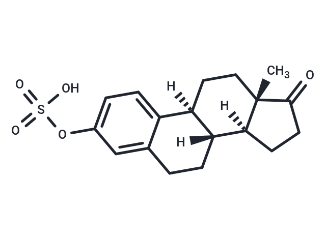 Premarin | Estrogen Receptor/ERR | TargetMol