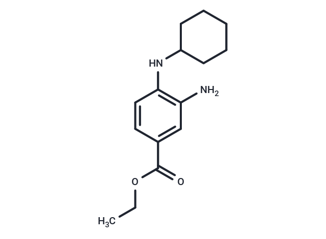 Ferrostatin-1 (Fer-1) | 铁死亡抑制剂 | TargetMol