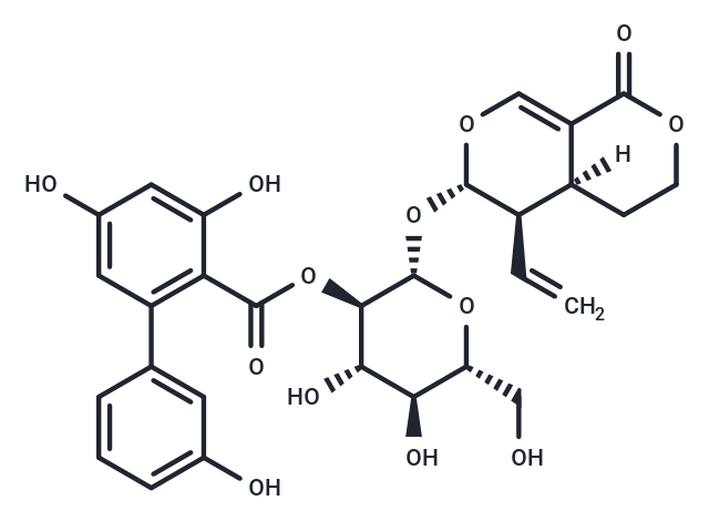 AMAROGENTIN | Apoptosis | AMPK | TargetMol