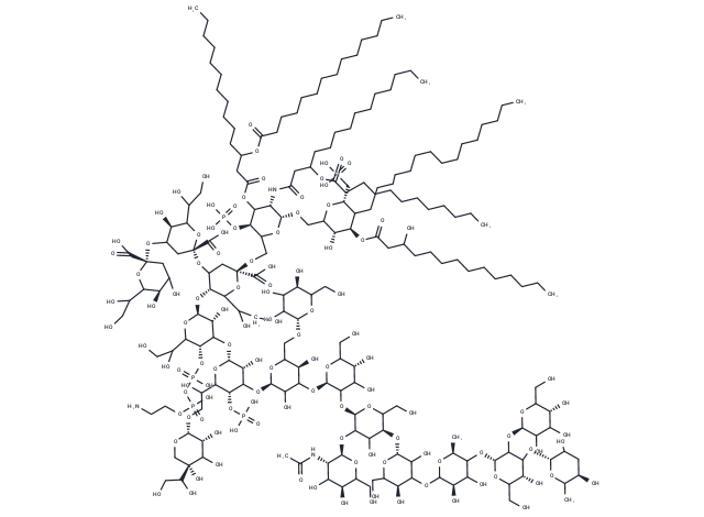 Lipopolysaccharides | LPS | 内毒素 | TargetMol
