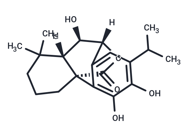 萜类 | 天然产物 | TargetMol