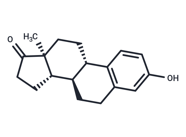 Estrone | Estrogen/progestogen Receptor | Estrogen Receptor/ERR ...