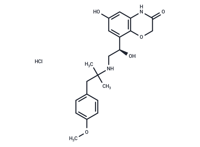 Olodaterol hydrochloride | Adrenergic Receptor | TargetMol