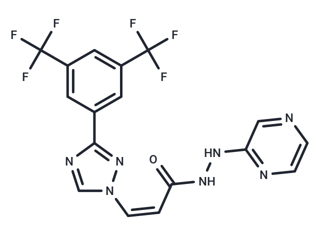Selinexor | KPT-330 | 塞利尼索 | CRM1 抑制剂 | TargetMol