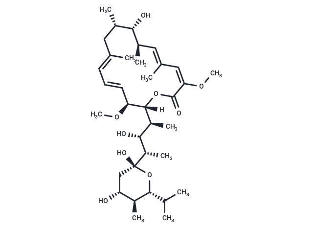 Bafilomycin A1 | 巴佛洛霉素A1 | V-ATPase 抑制剂 | TargetMol