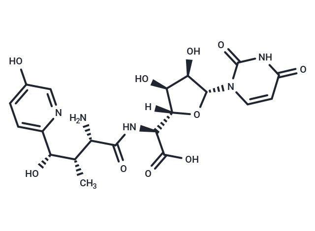 Nikkomycin Z | Inhibitor | Antibiotic | Antifungal | TargetMol