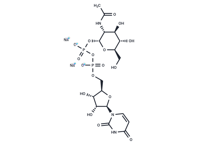 UDP-GlcNAc Disodium Salt | Inhibitor | TargetMol