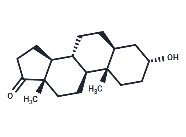 Androsterone | FXR | Endogenous Metabolite | Autophagy | TargetMol