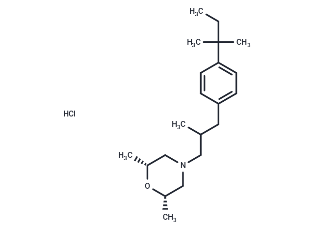 Amorolfine hydrochloride | Antibiotic | Antifungal | TargetMol